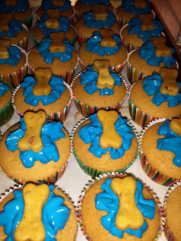 Fido (5) - ไทยเอสเอ็มอีเซ็นเตอร์ | รวมเอสเอ็มอีไทย SMEs