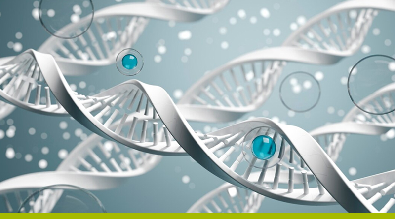 5 ประโยชน์ของการตรวจ DNA ที่คุณควรรู้